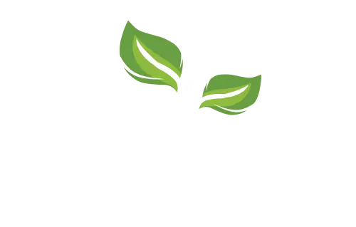 Wellness Blog - Well Life Store
